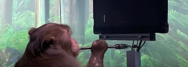 Macaco consegue jogar videogame após implante cerebral da Neuralink